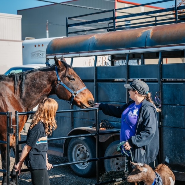 Animal Assisted Therapy Alberta Boss Co. – The Pet Event